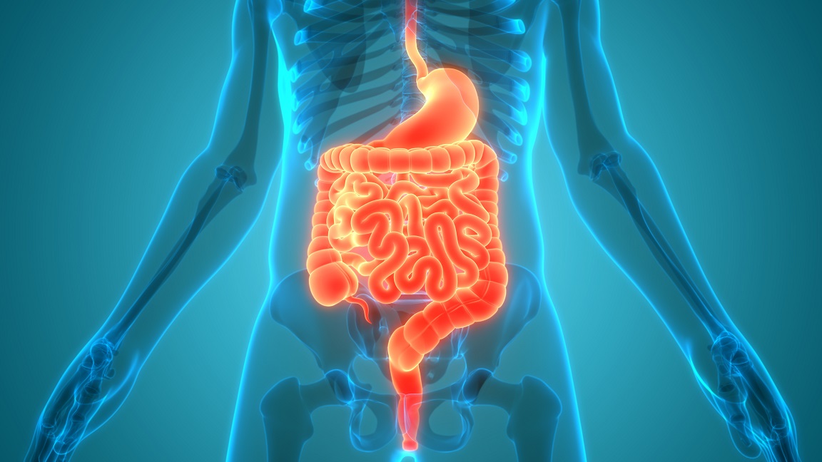 Proctologia - Conheça a Especialidade - Certa Expert Care